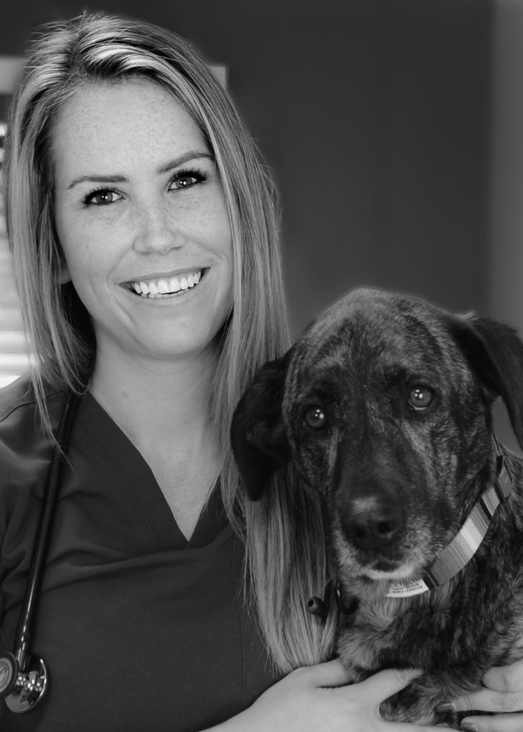 Marietta, GA 30068 Veterinarians - Providence Veterinary Clinic