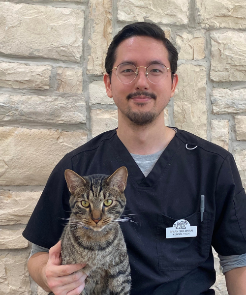 Supporting Staff - Providence Veterinary Clinic