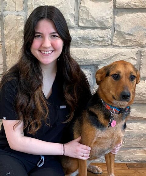 Supporting Staff - Providence Veterinary Clinic